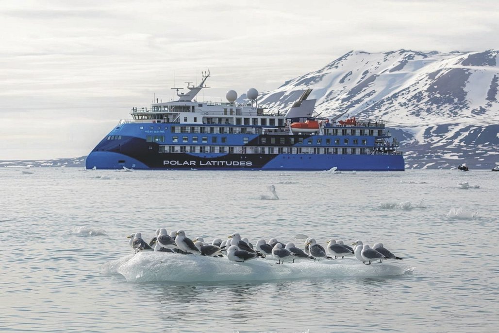 Erkundungsreise zur antarktischen Halbinsel | Die Reisebotschafter