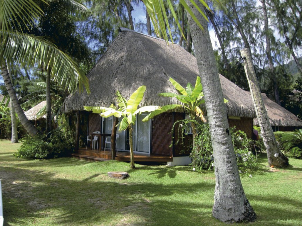 Les Tipaniers | Die Reisebotschafter